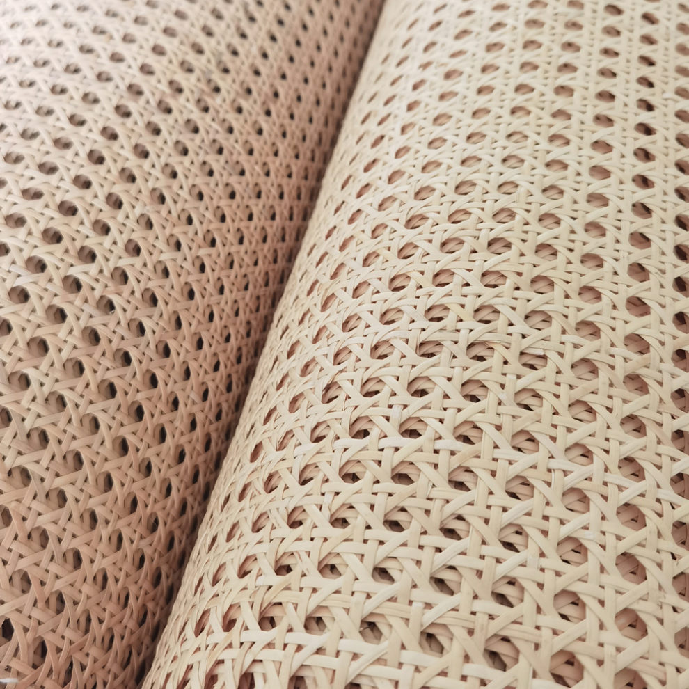 Les différents types de rotin : Ce que vous devez savoir • Le palais du ...